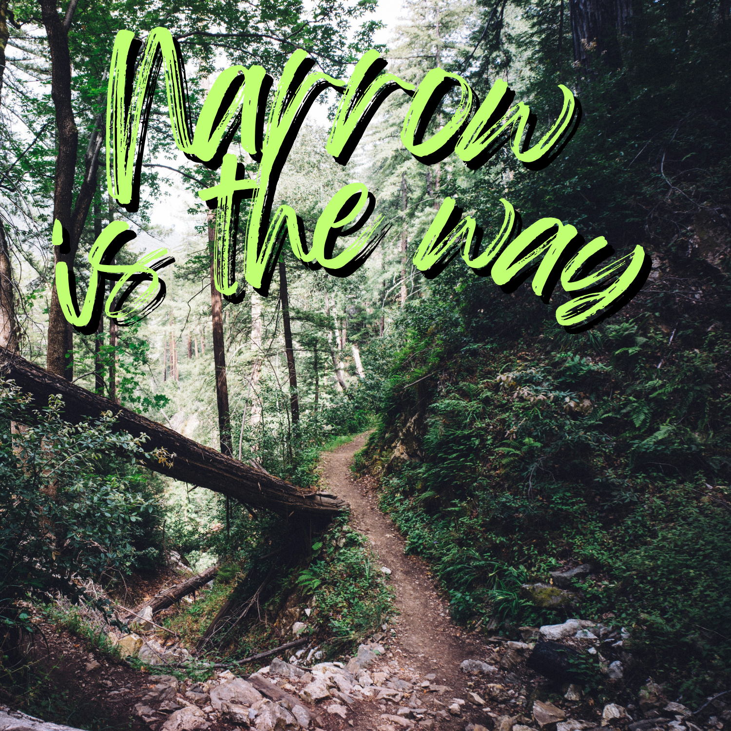 Narrow is the way – The Sons are Free